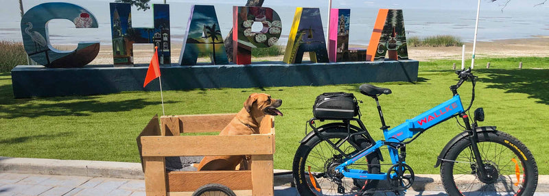 Fat Tire Electric Bike | Best Online E-Bike Shop | Wallke Ebike