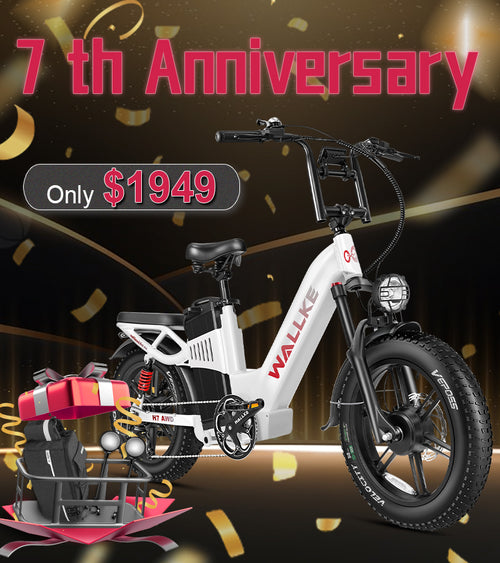 Fat Tire Electric Bike | Best Online E-Bike Shop | Wallke Ebike